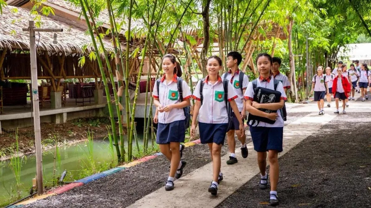 A escola onde alunos estabelecem as regras e até contratam professores ...