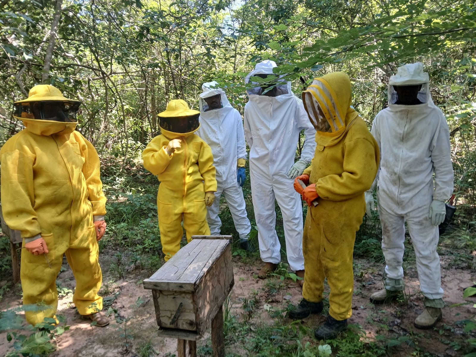 Sistema Faemg Senar promove 28 cursos gratuitos em cidades do Norte de ...