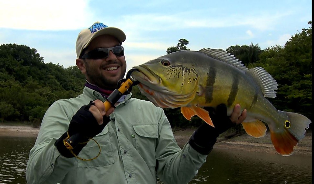 Aventura em busca do maior tucunaré do Brasil | Terra da Gente | G1
