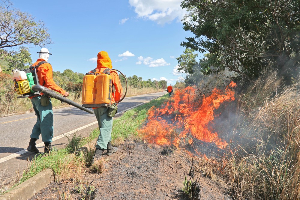 Autorizações para queima controlada são suspensas pelo Naturatins | G1