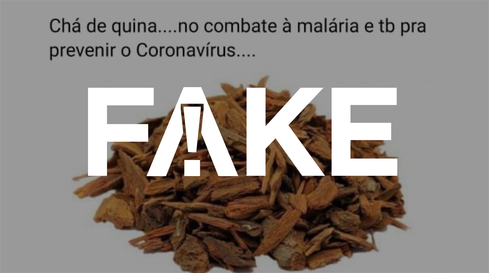 Conheça a quina: planta medicinal que inspirou a hidroxicloroquina | G1