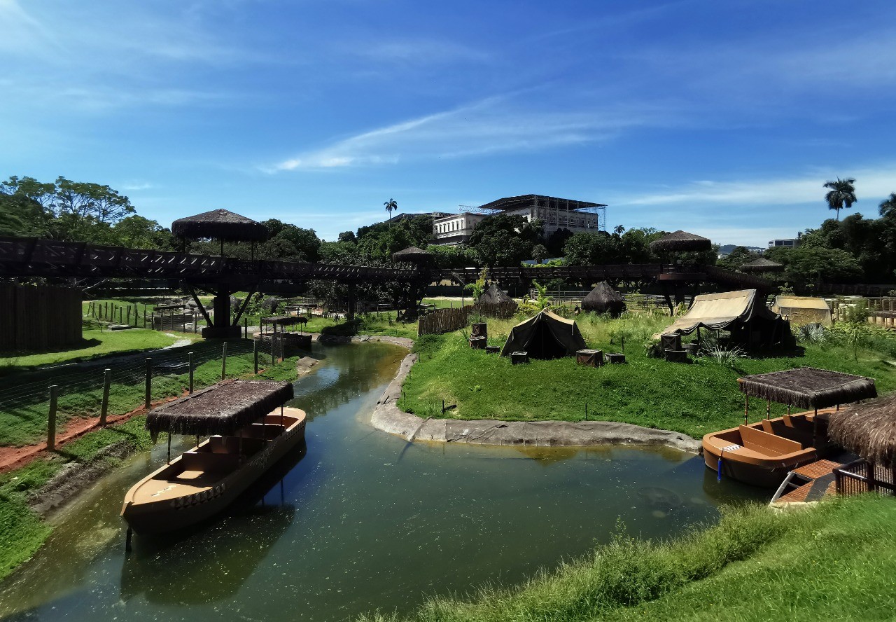 Passeio dentro do viveiro das aves, safari com hipopótamos e onça negra ...