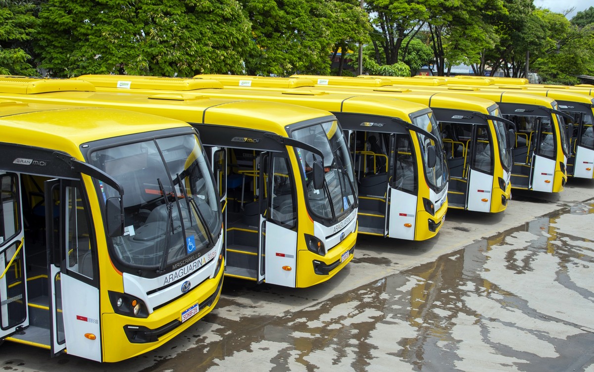 Novos ônibus para linhas semiurbanas e intermunicipais com leito e ...
