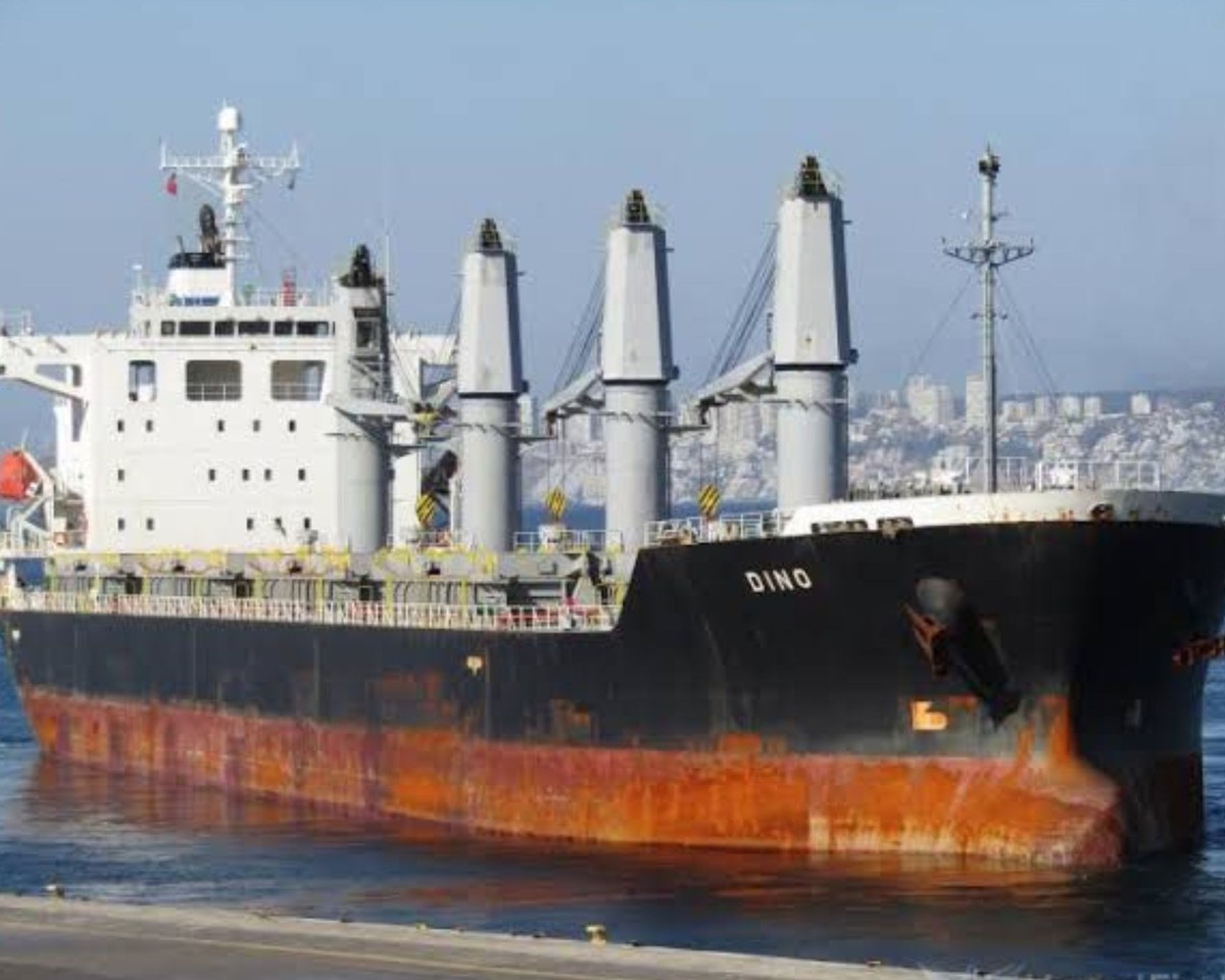 Navio com tripulante diagnosticado com malária é autorizado a operar no ...