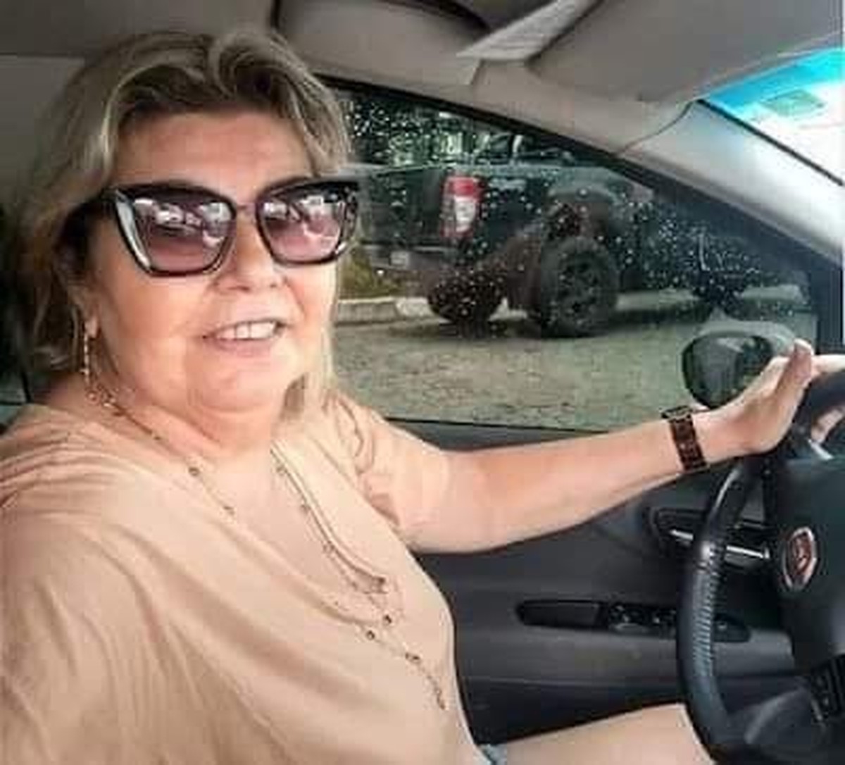 Motorista morre após carro que ela conduzia bater em boi em trecho da BR-423, em São Caetano ...