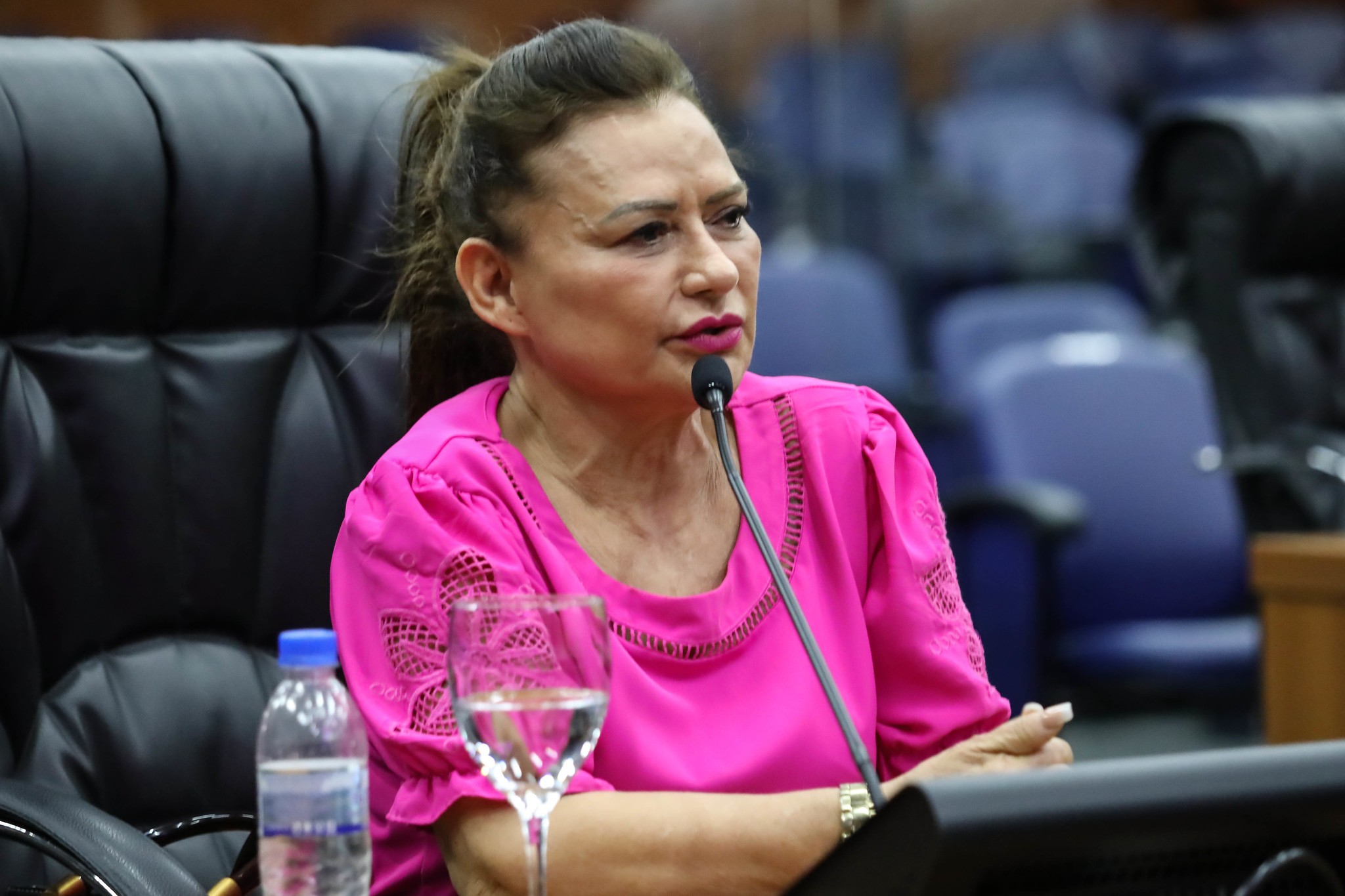 CPI que investiga grilagem de terras pede indiciamento da ex-presidente do Iteraima e mais 15 ...