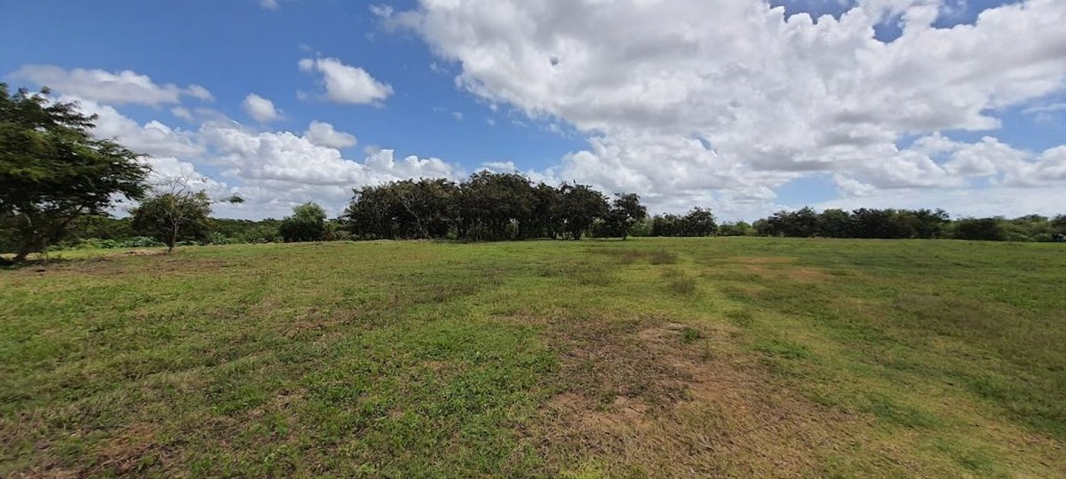 Conheça projeto do Parque do Roger, que deve recuperar área de antigo ...