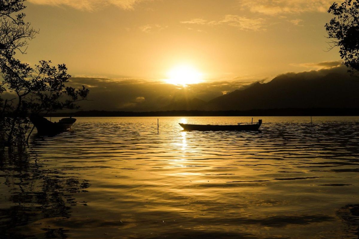 Ilha protegida no litoral de SP reserva cenários paradisíacos; Conheça | G1