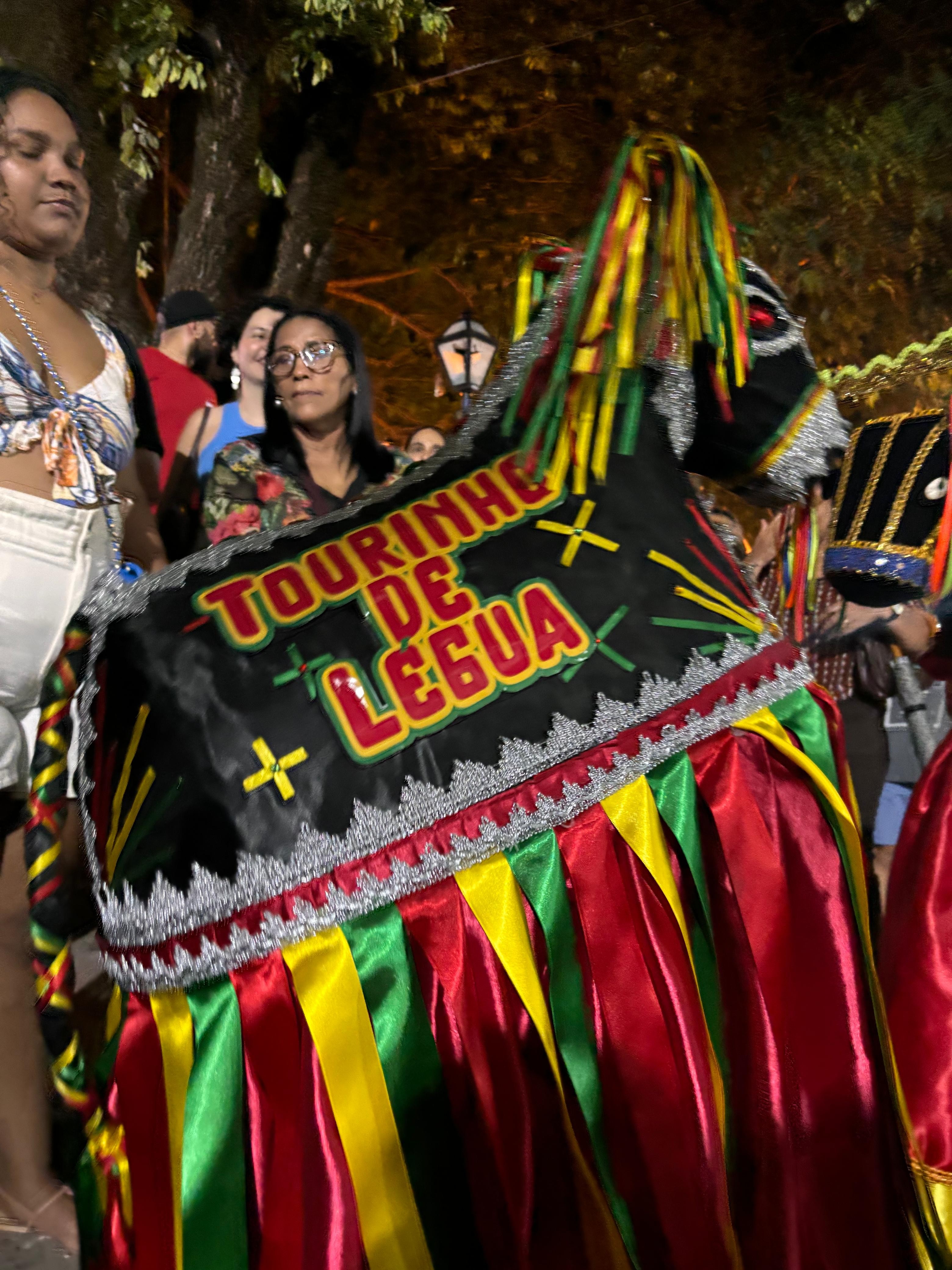 Sons de resistência e identidade: conheça a história do Bumba Meu Boi ...