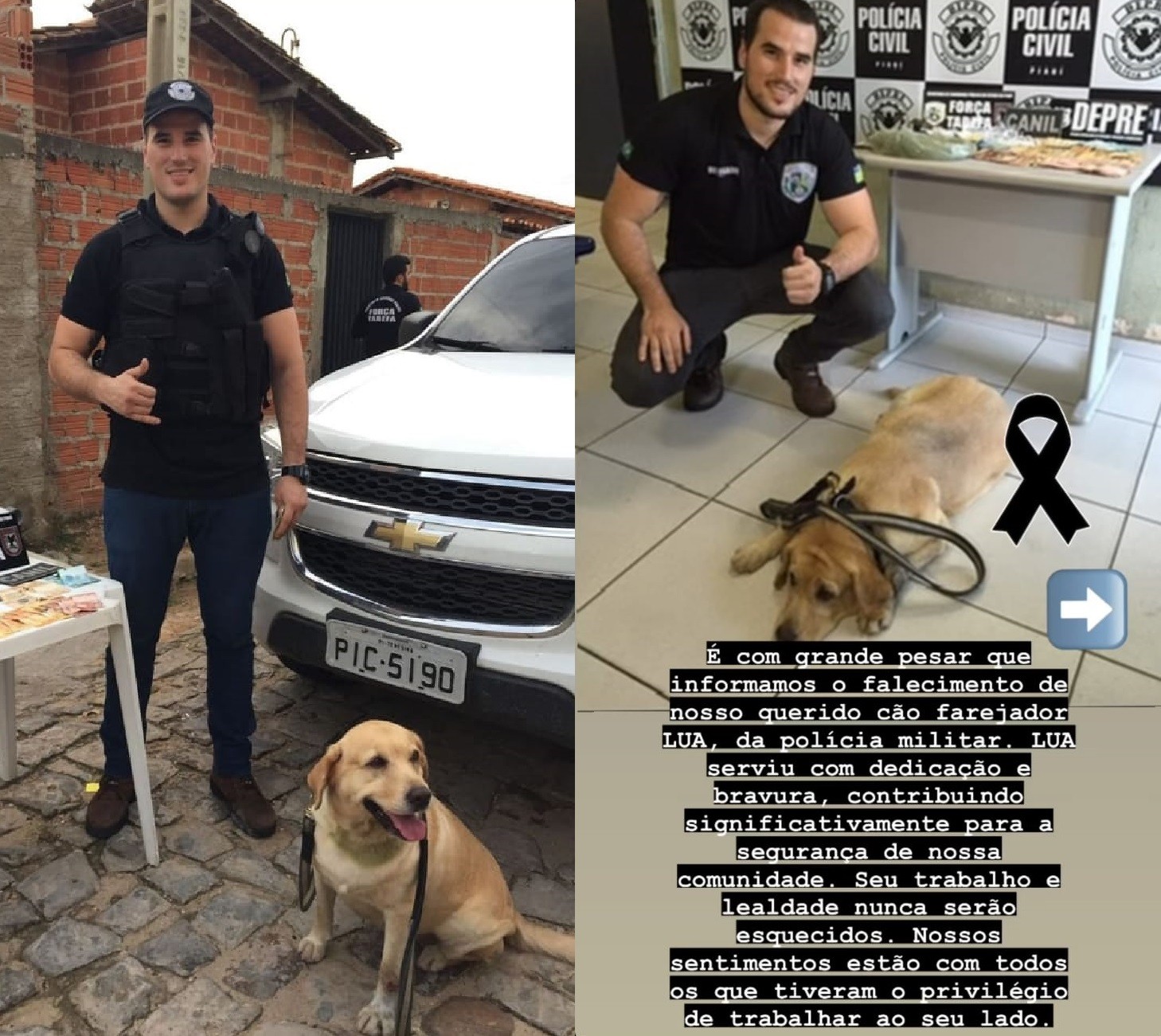 Morre Lua, cadela farejadora da Polícia Militar do Piauí | Piauí | G1