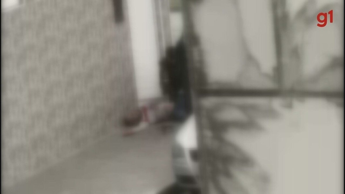 Vídeo mostra capitão e cabo da PM, réus por homicídio, revistando homem ...