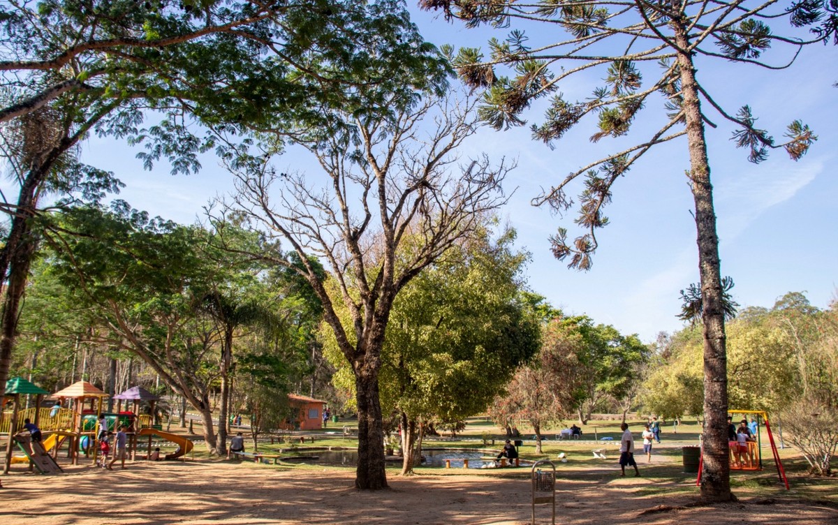 Atividades gratuitas comemoram o Dia da Terra no Parque Horto Florestal ...