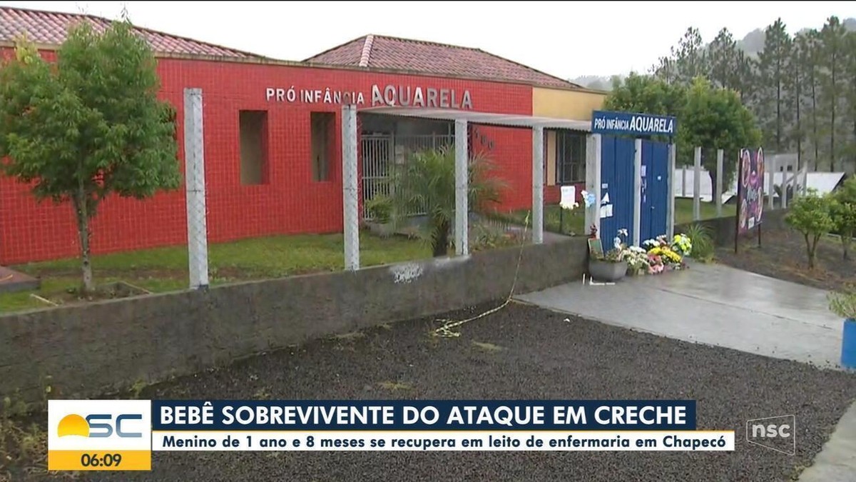 Internado, bebê ferido em ataque a creche de SC não corre risco de ...