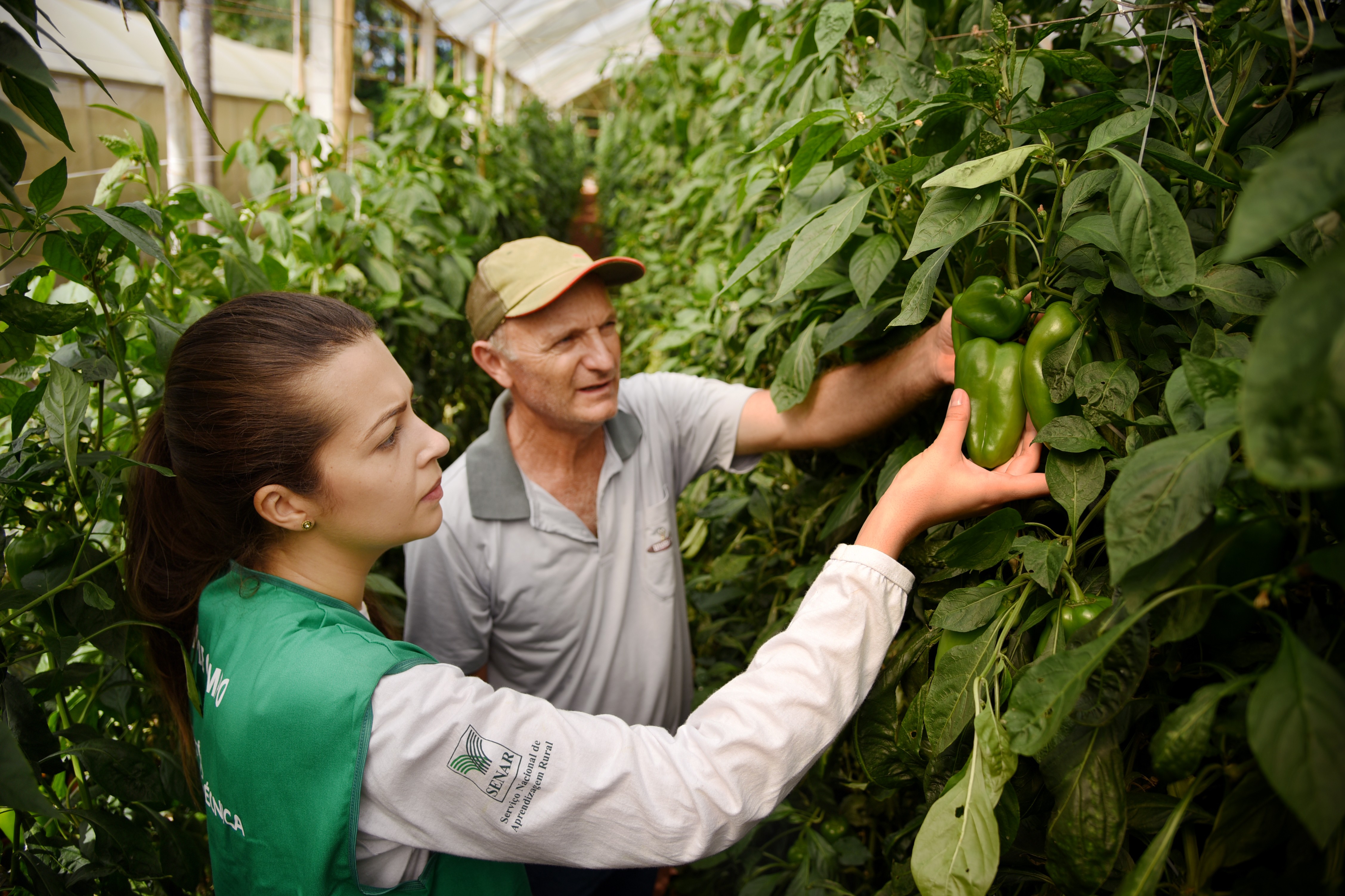 Agro: cursos técnicos gratuitos são oferecidos em MS