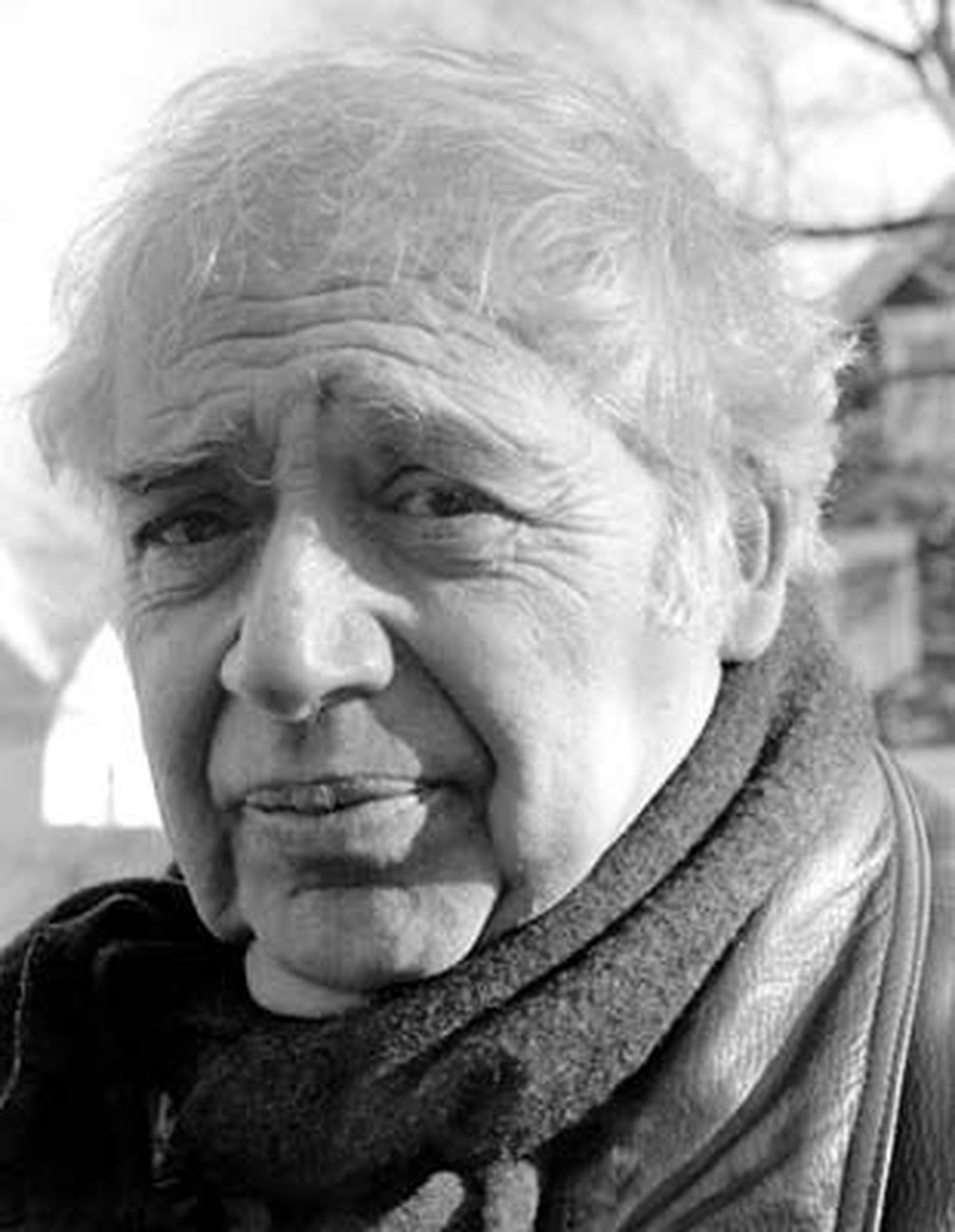 Harold Bloom, crítico literário, morre aos 89 anos nos EUA, diz jornal ...
