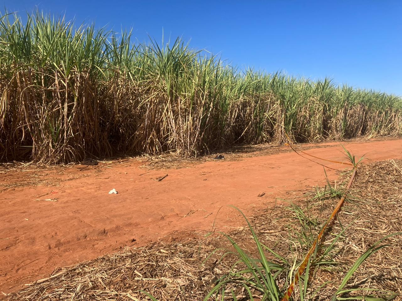 Adolescente suspeito de roubar e matar jovem em área rural de Mogi ...