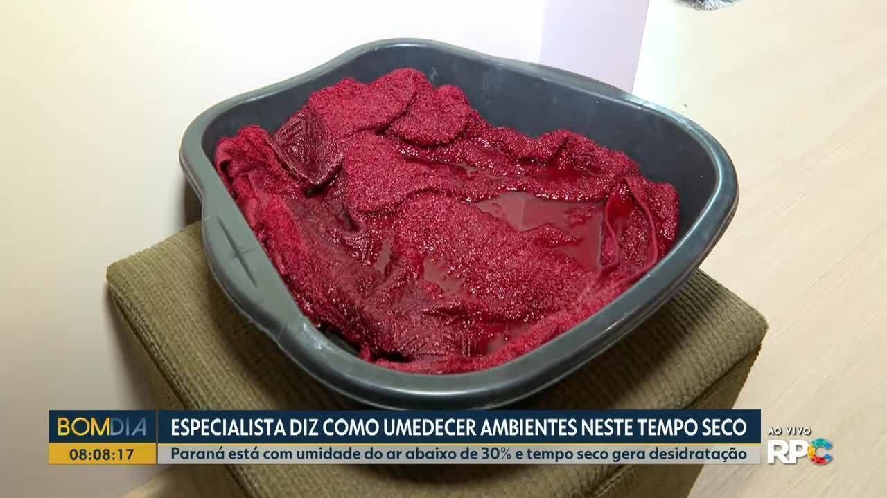 Tempo seco no Paraná: veja quais os principais cuidados para tomar com ...