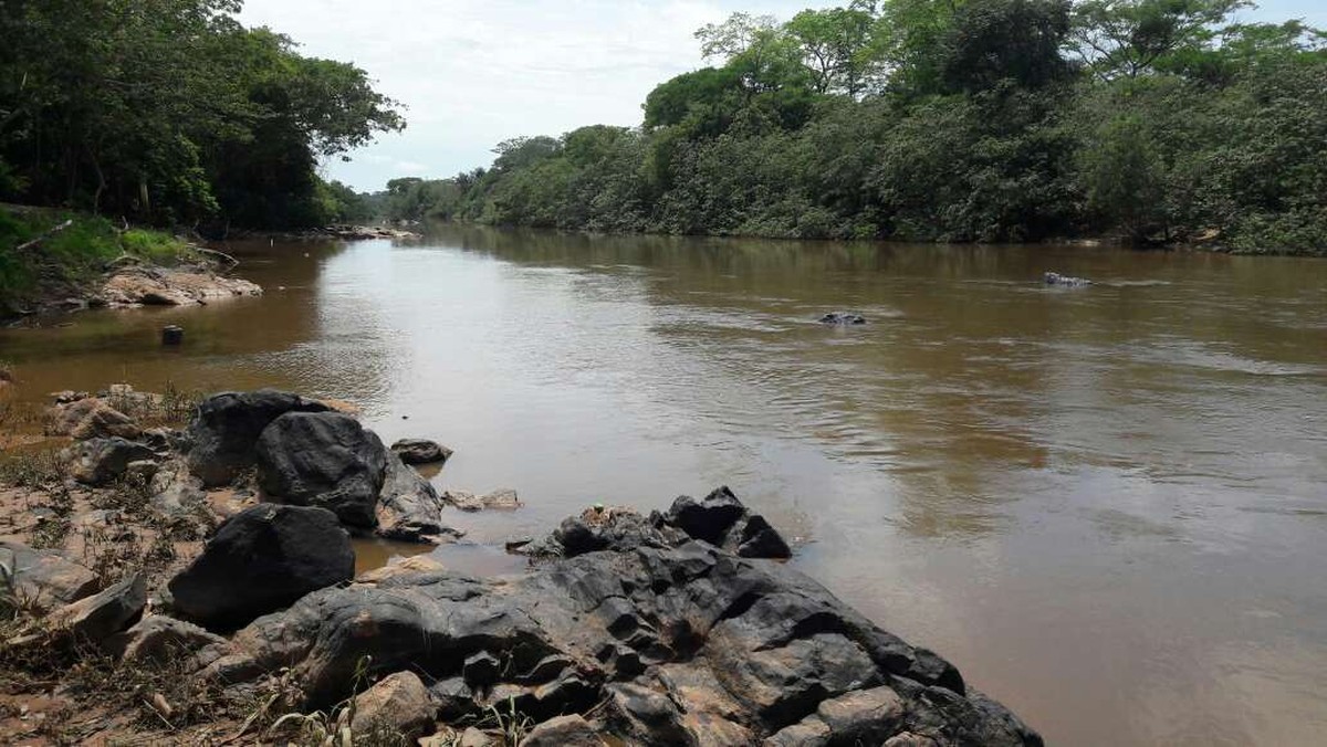 Nível do rio Jaru fica mais de três metros abaixo do esperado, aponta ...