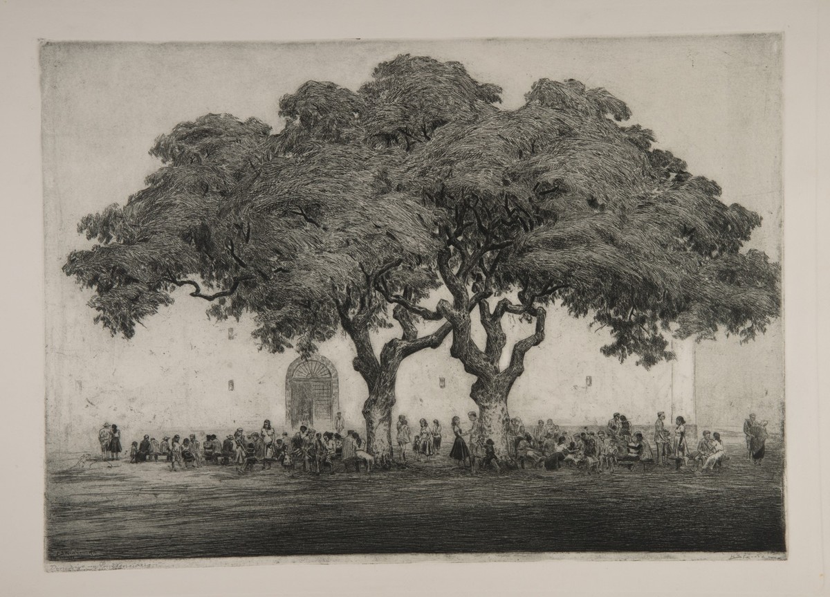 Mostra inédita reúne gravuras de Hans Steiner no Mabe | Pará | G1