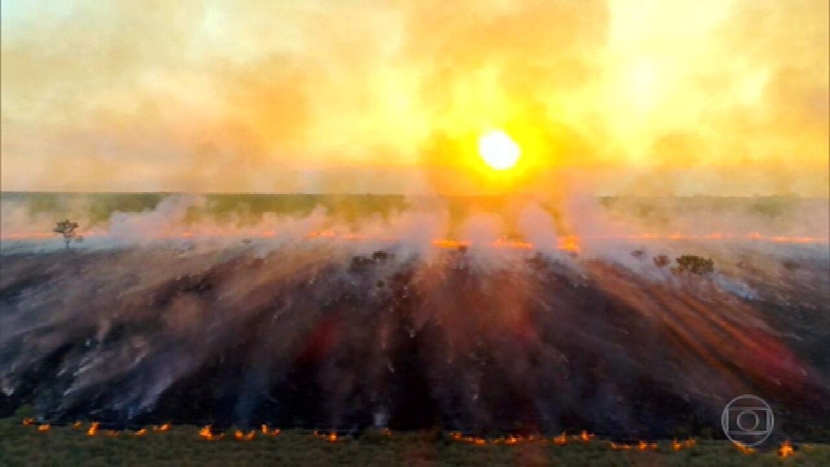 Queimadas controladas protegem a vegetação de incêndios no Centro-Oeste ...