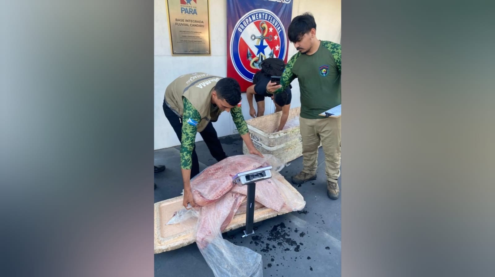 Agentes da Base Candiru apreendem 108 kg de pescado ilegal | G1