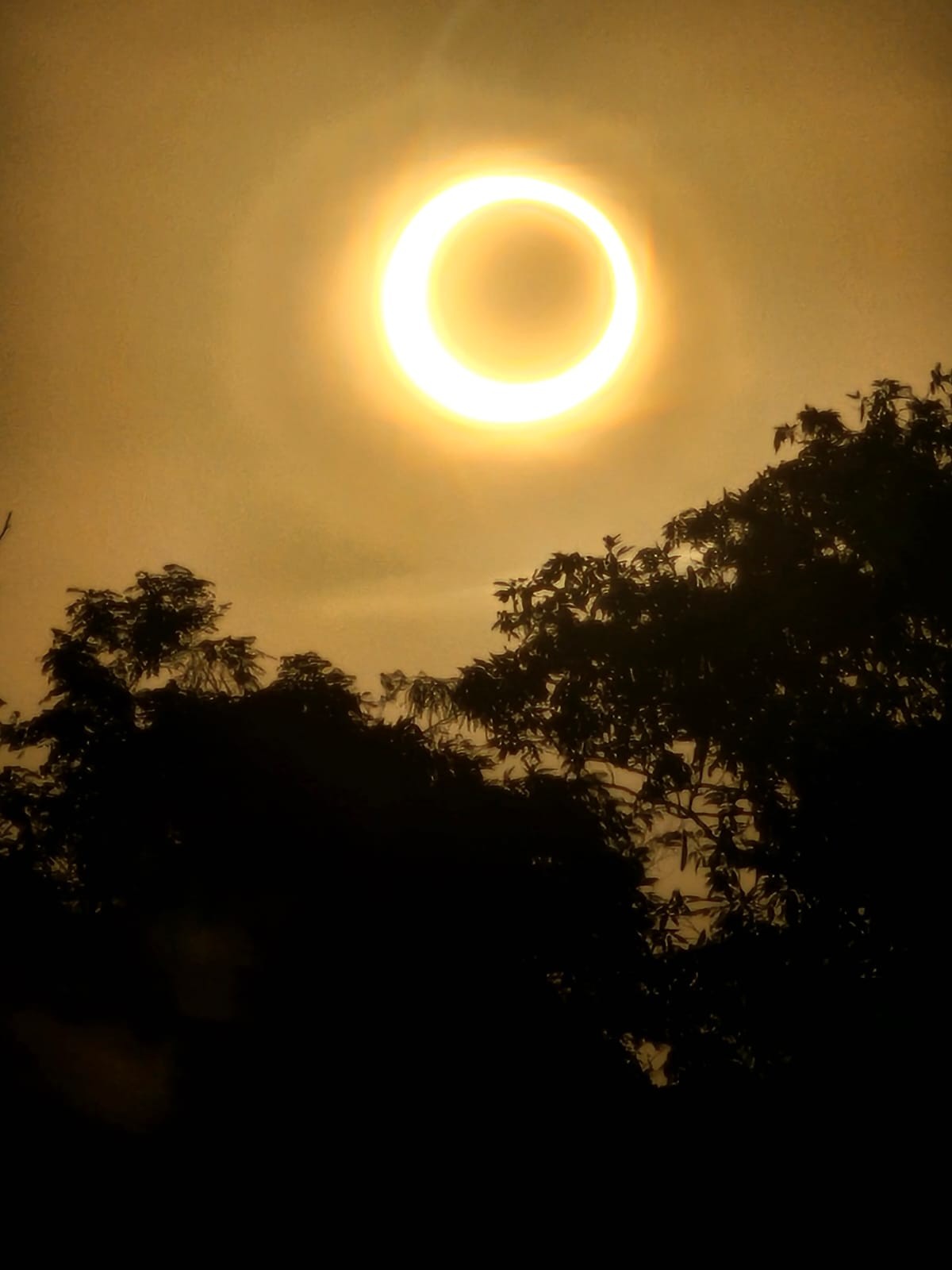 Eclipse solar anular: veja imagens do fenômeno na Paraíba | G1