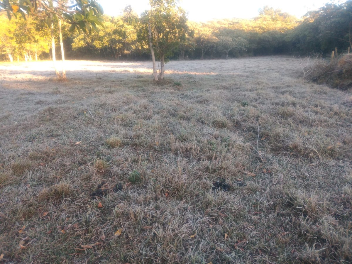 Alerta de geada e baixas temperaturas: veja como clima afetará cidades ...