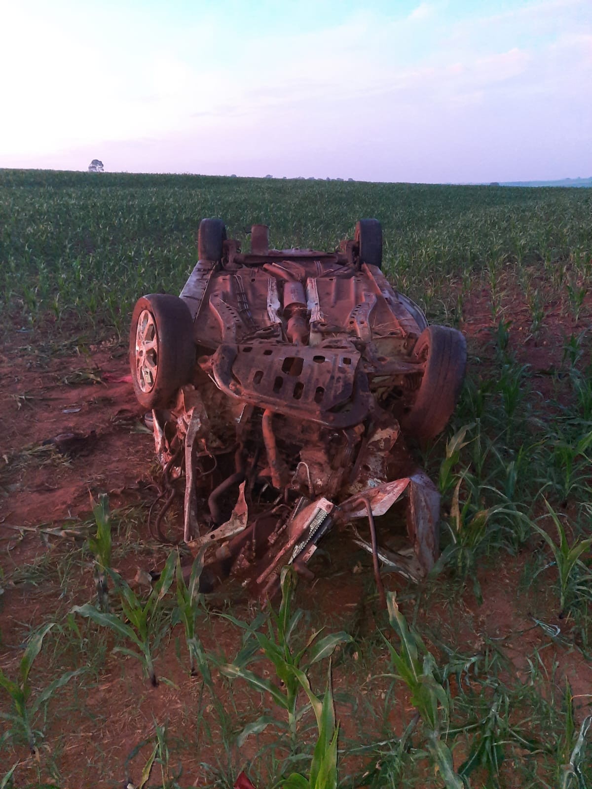 Passageiro morre e quatro ficam feridos após carro capotar em rodovia ...