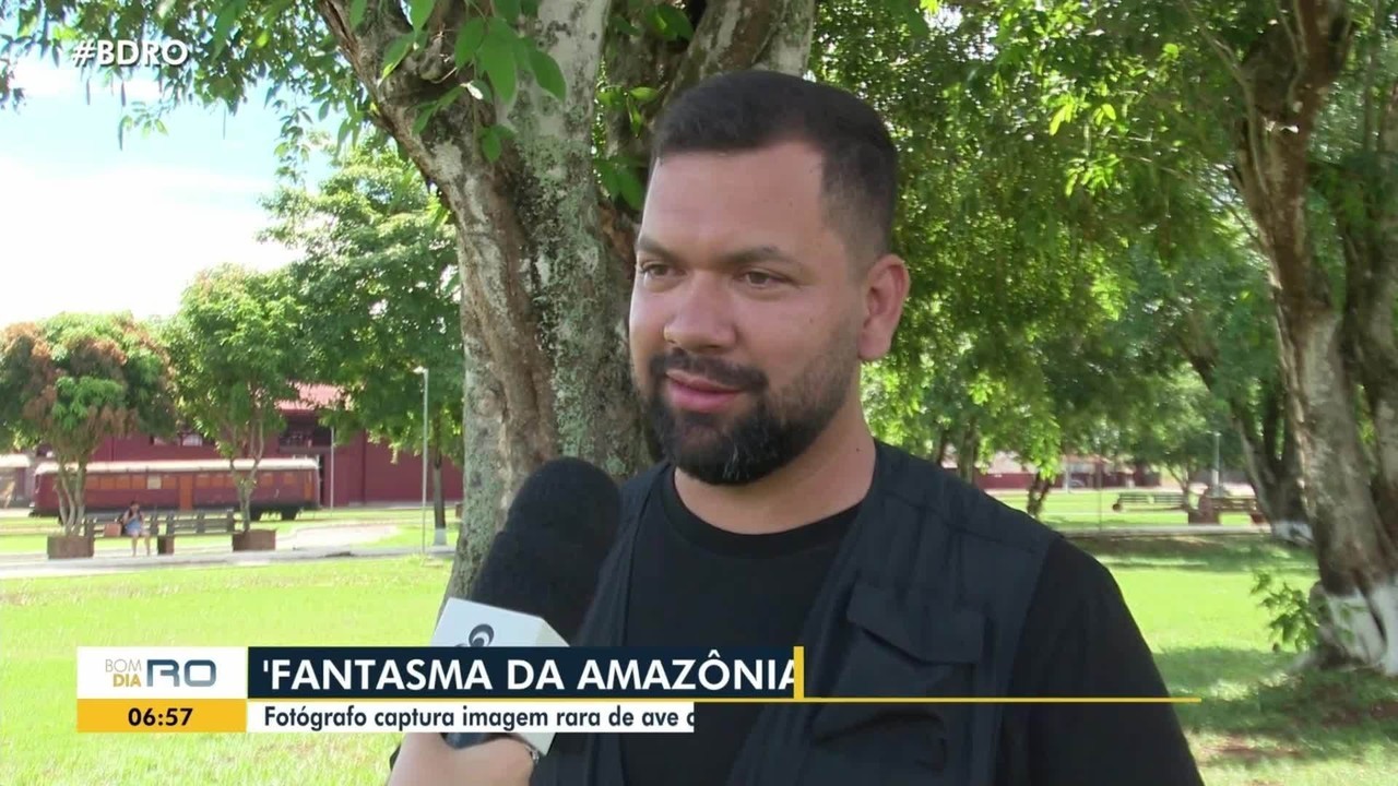 Fotógrafo registra 'ave fantasma' durante passeio no Parque Natural de Porto Velho | G1