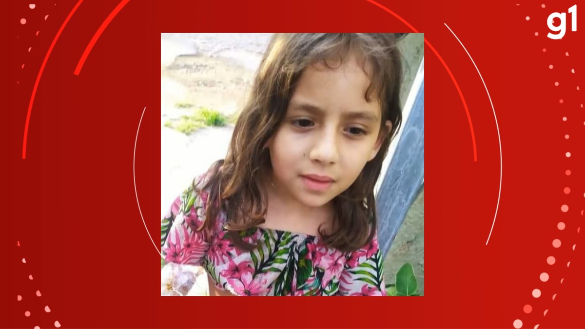 Veja O Que Se Sabe E O Que Falta Esclarecer Sobre Morte De Menina