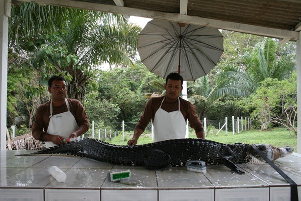 Lago do Cuniã: conheça o único frigorífico do país com liberação para ...