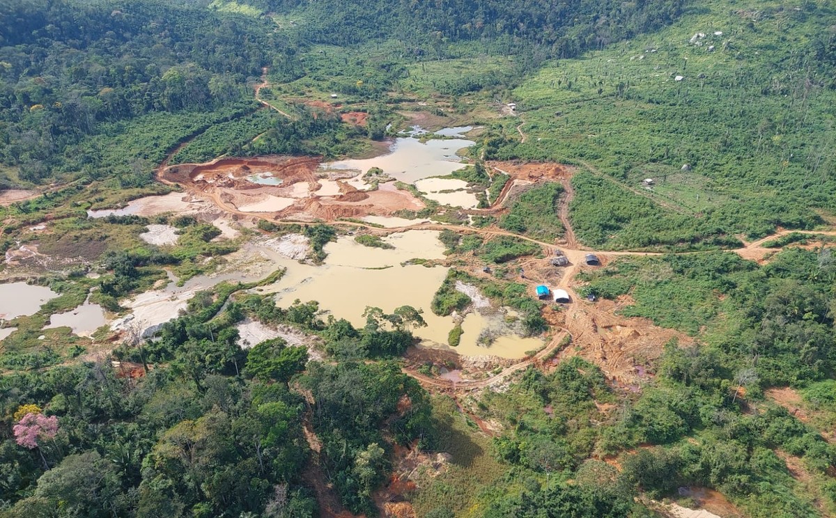 PF destrói maquinários utilizados para garimpo ilegal de ouro dentro da ...