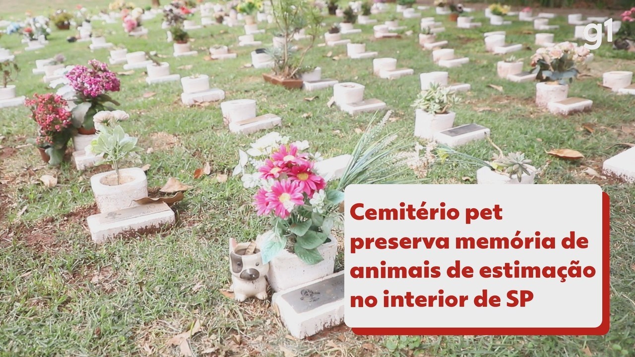 Cemitério de pets no interior de SP preserva a memória de animais de ...