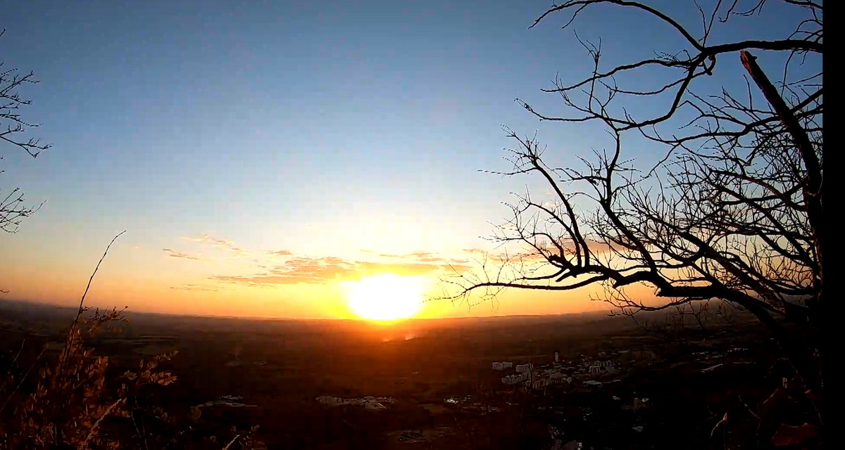 QUIZ: Você conhece o Cerrado brasileiro?