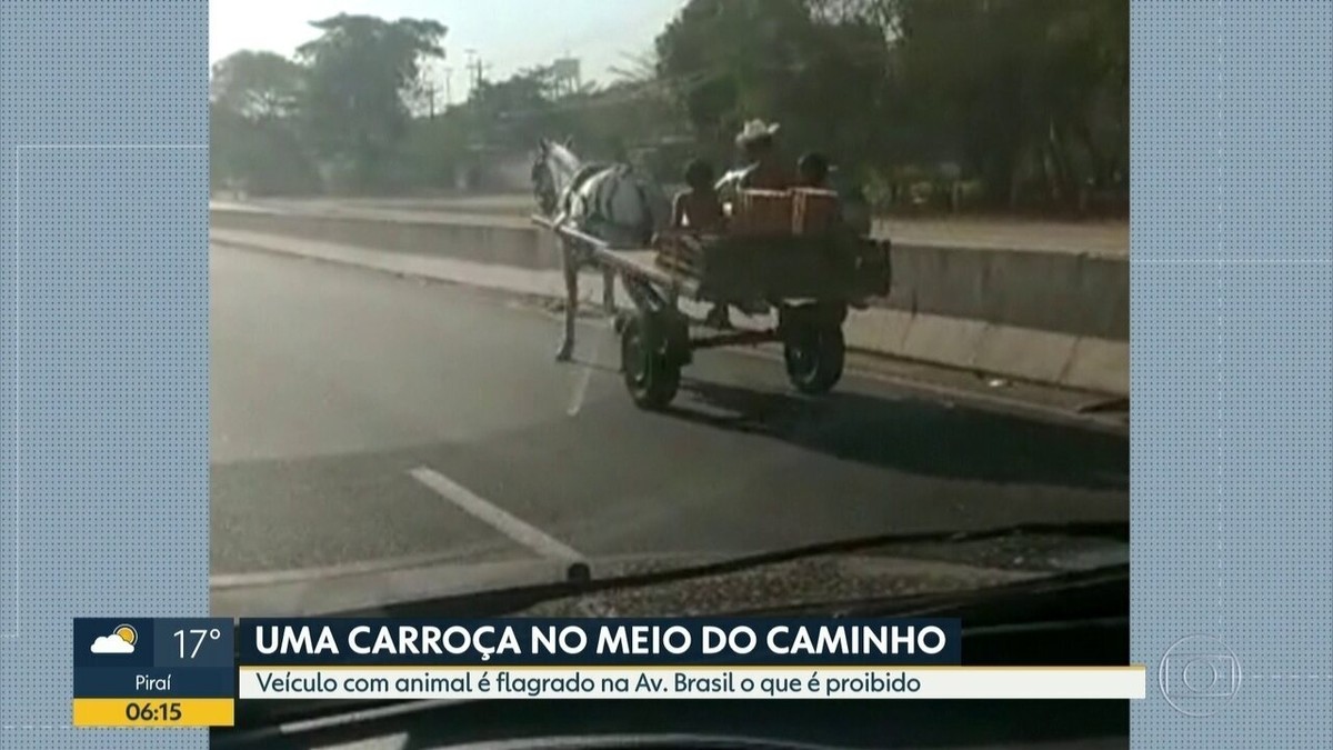 Imagens mostram carroça trafegando entre os carros em via expressa do ...