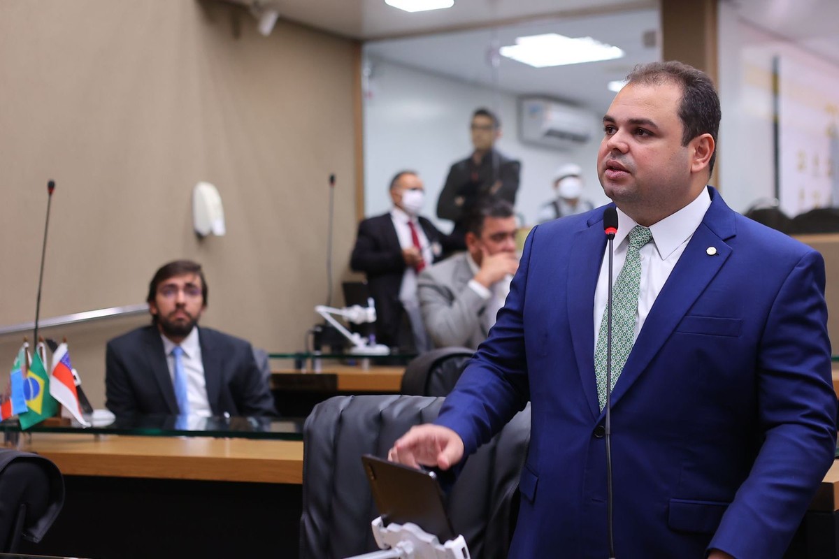 Dia da Gestante: Roberto Cidade destaca PLs que estabelecem maior ...
