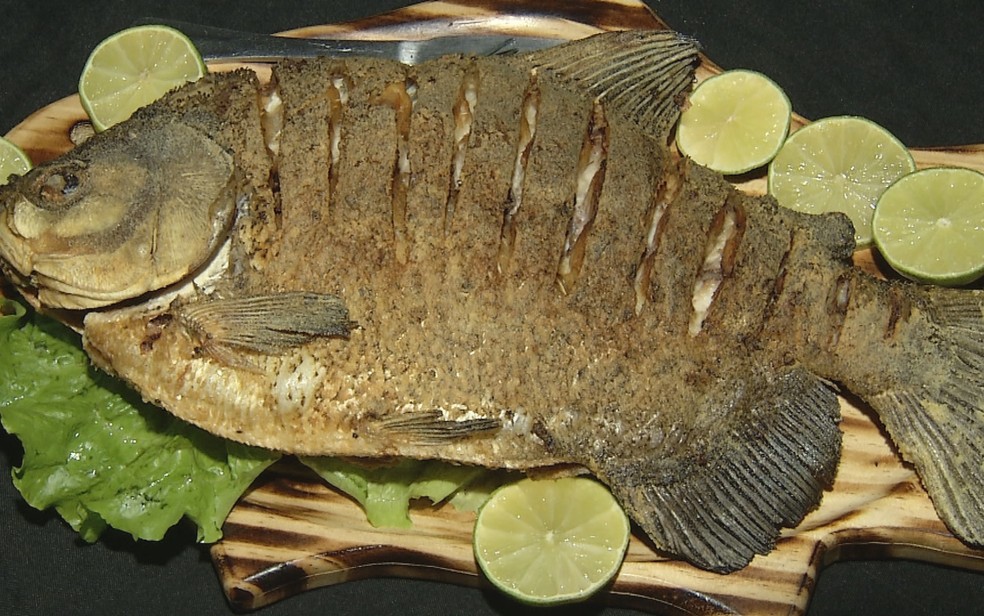 tambaqui peixe