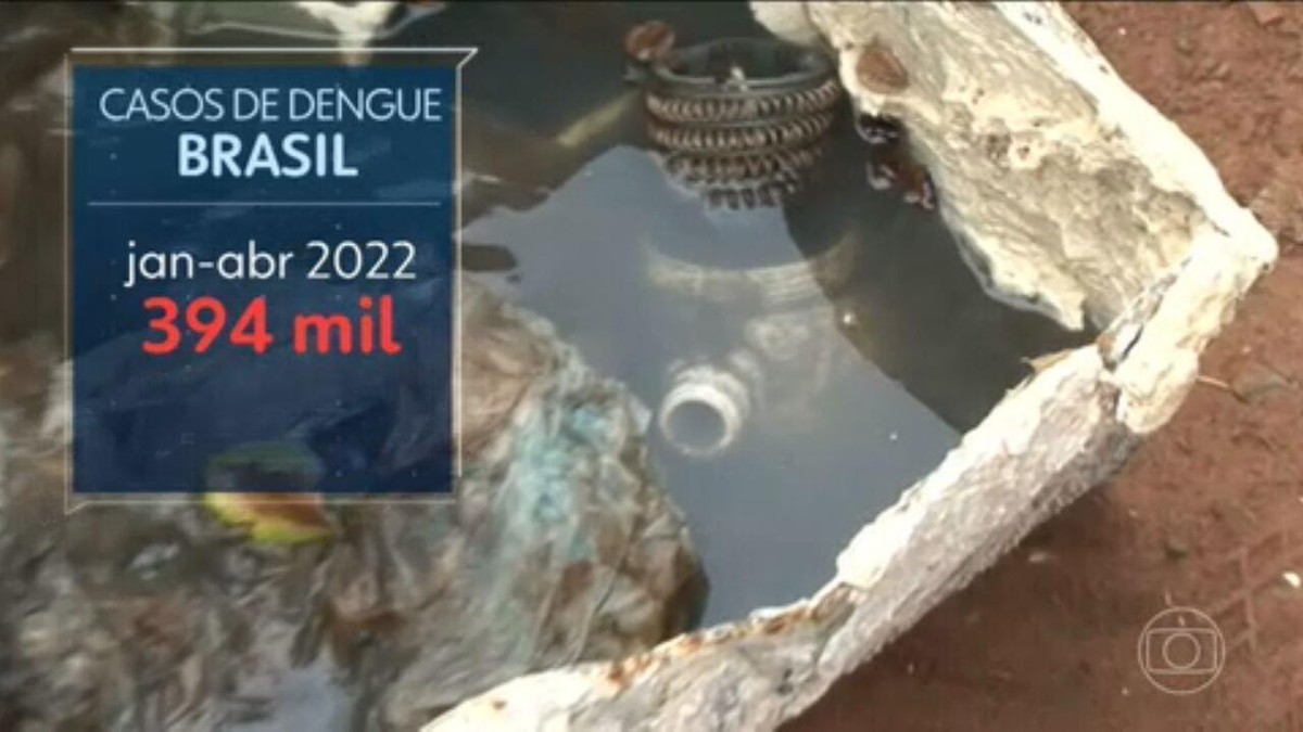 Secretaria de Saúde do Paraná decreta epidemia de dengue no estado | Jornal Nacional | G1