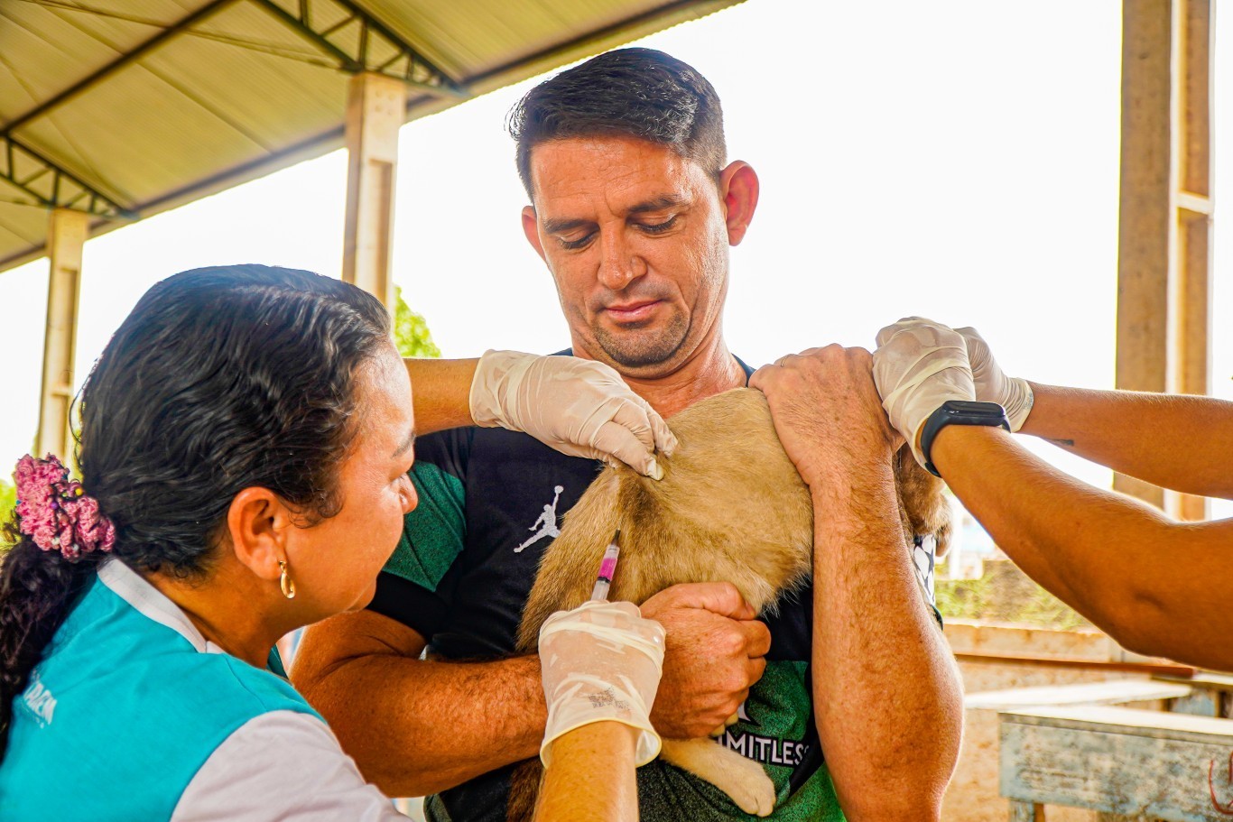 Vacinação contra raiva para cães e gatos em Teresina: veja datas | G1