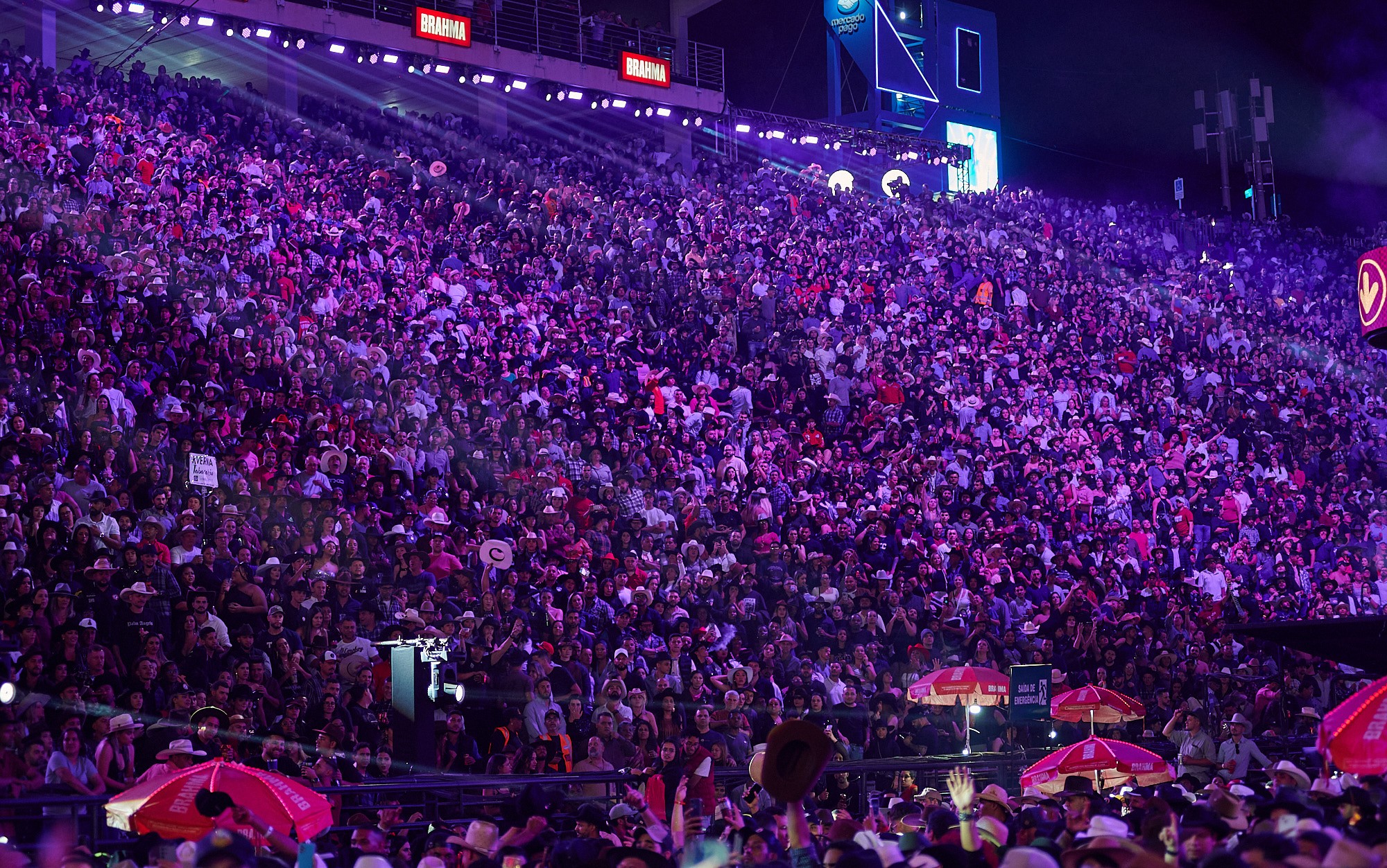 Festa do Peão de Barretos 2024: g1 faz retrospectiva com melhores ...