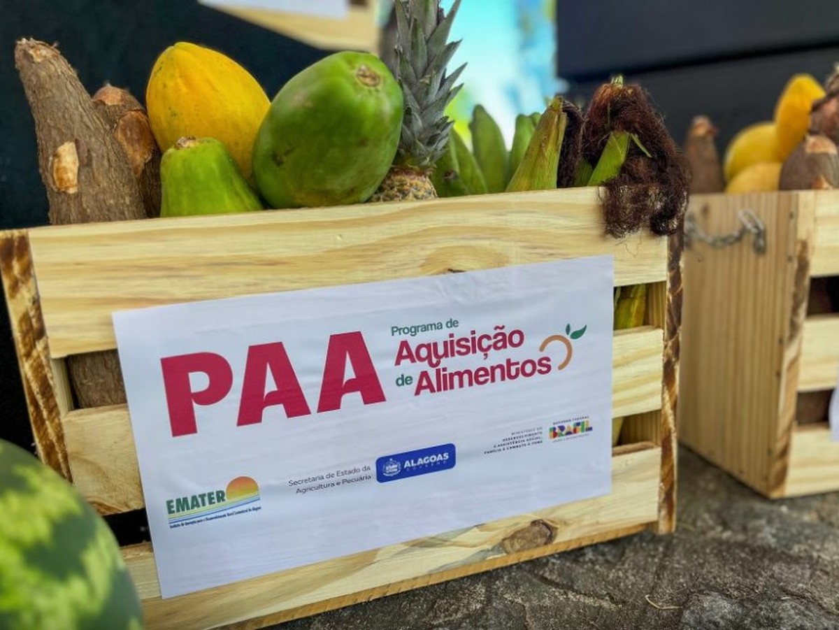 Governo doa 115 toneladas de alimentos em menos de 10 dias de ações do ...