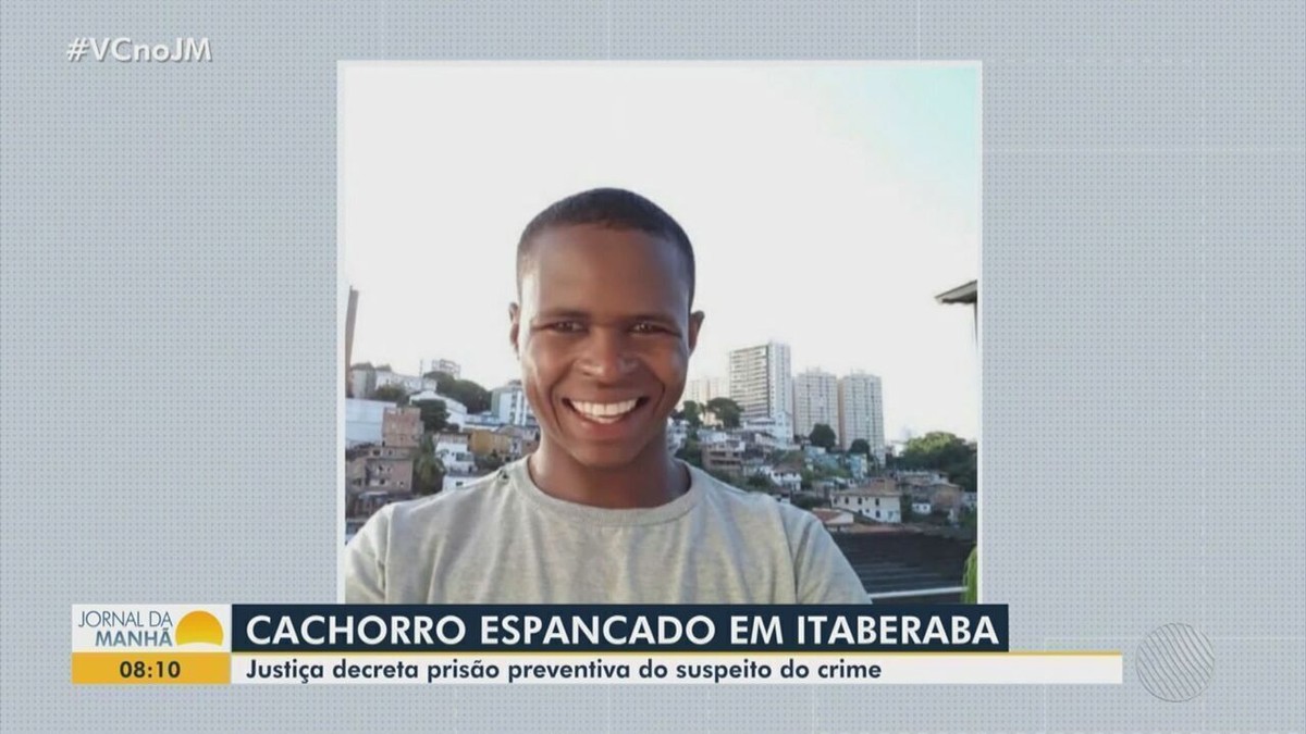 Suspeito De Espancar Cachorro A Pauladas Na Ba Tem Prisão Preventiva