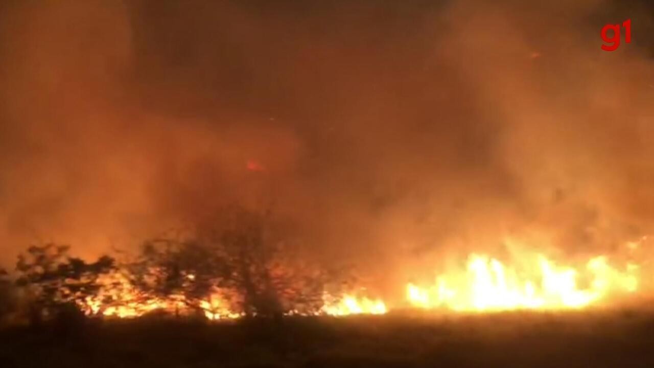 Fogo atinge área de mata próxima a ferro-velho e mobiliza equipes em ...