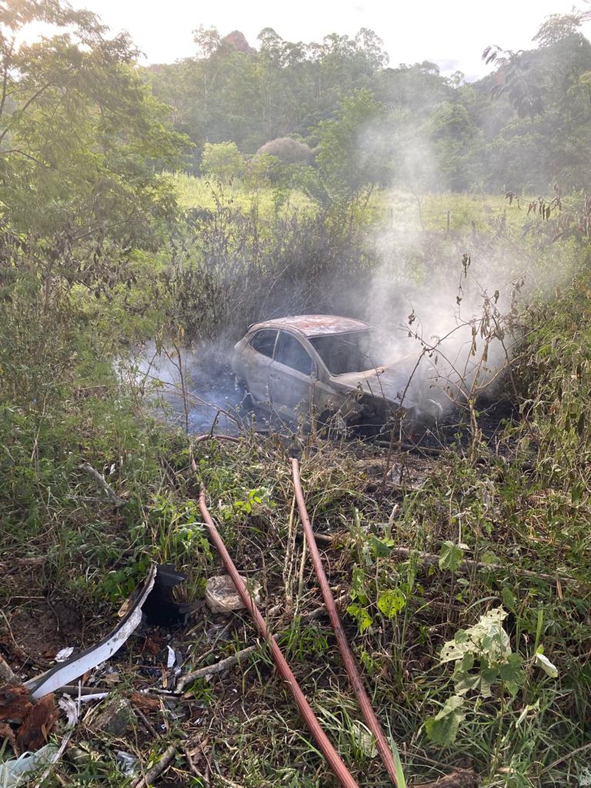 Carro capota e pega fogo em matagal, à margem da BR-259, em Resplendor | Vales de Minas Gerais | G1