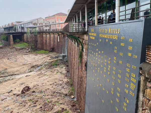 Rio Negro volta a subir, muda paisagens e reaquece economia de Manaus | G1