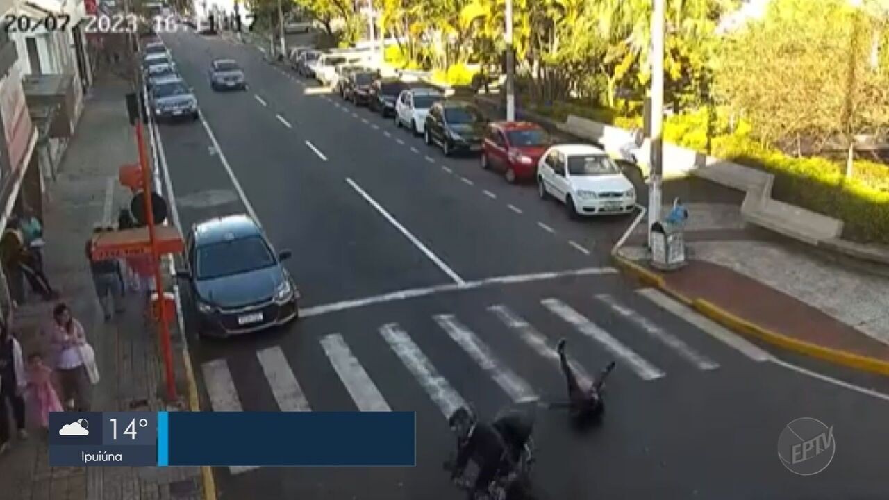 VÍDEO: Mulher é atropelada por moto ao atravessar avenida pela faixa de pedestres em MG | Sul de ...