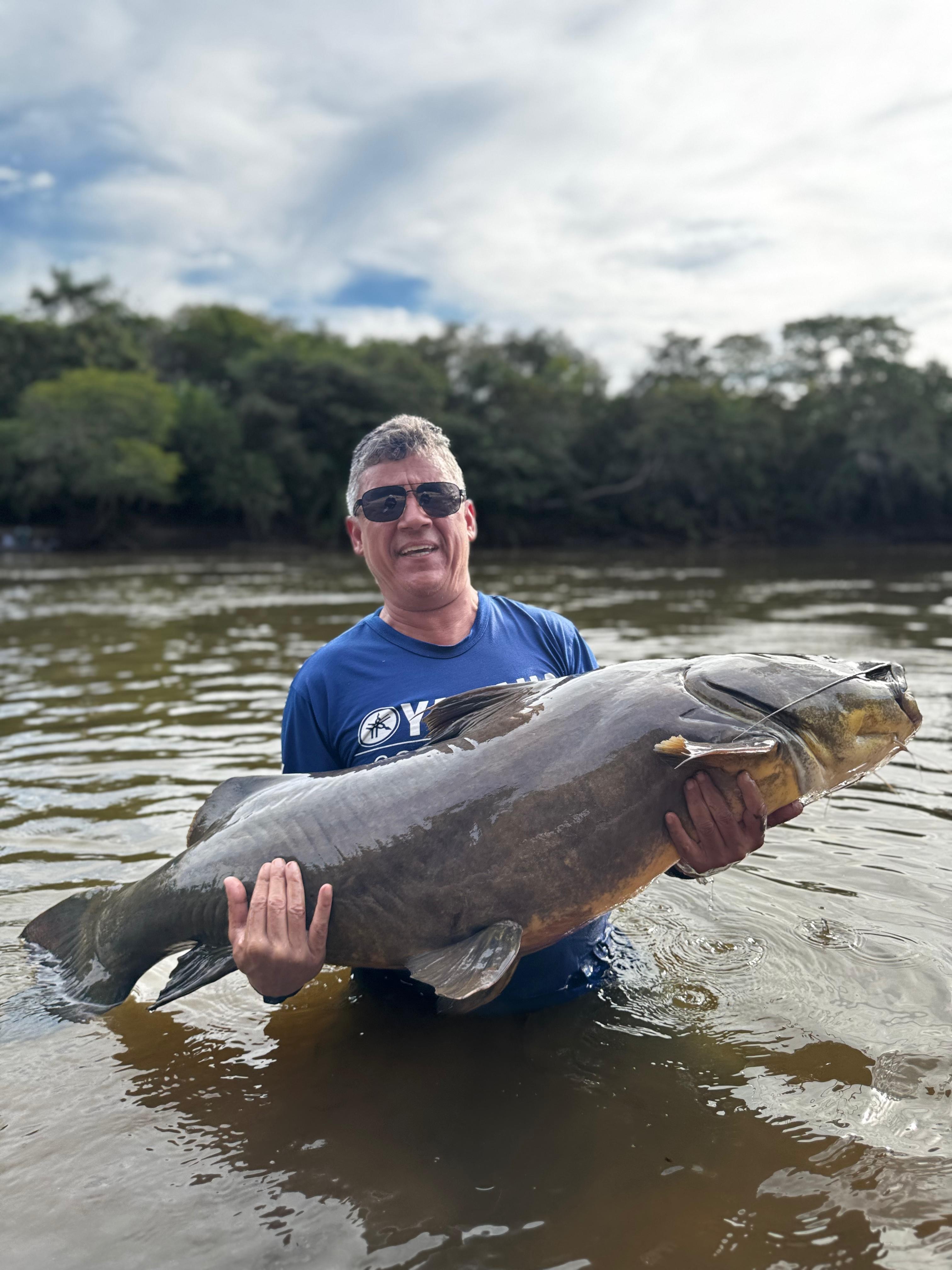 Pescador fisga jaú gigante no Pantanal: ‘esse peixe me comoveu