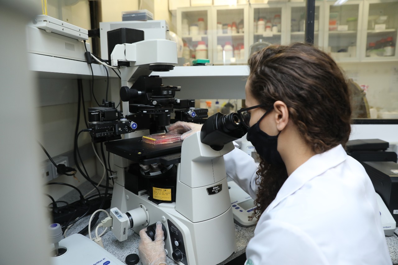 Nubex: inteligência a favor da vida | Ensinando e Aprendendo | G1