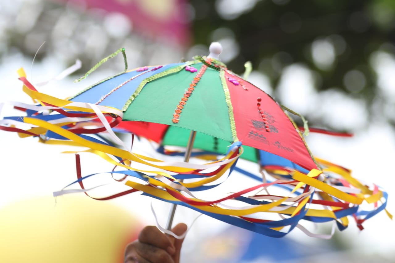 Professor de música lança livro em três línguas para ensinar frevo para ...