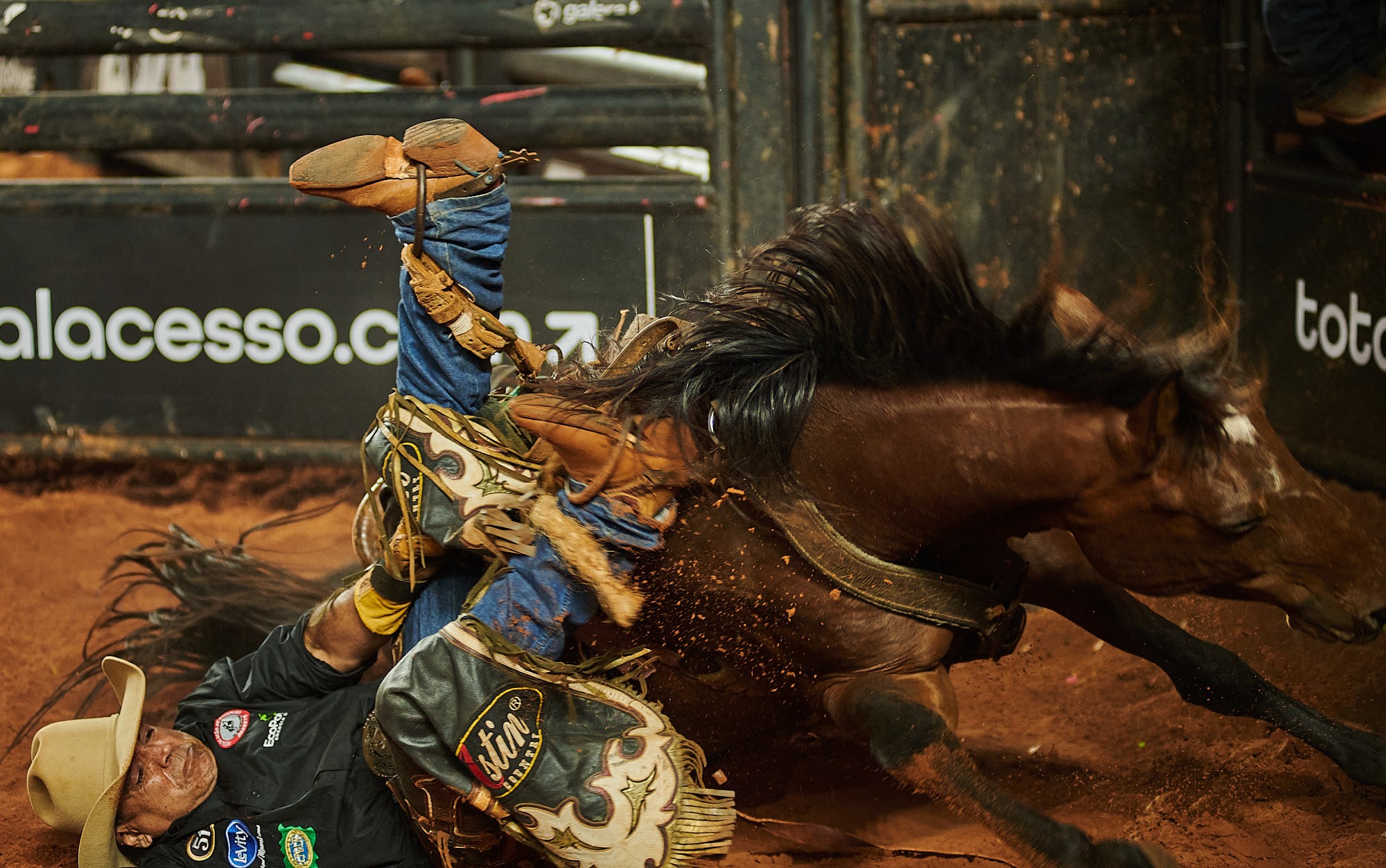 Festa do Peão de Barretos 2024: g1 faz retrospectiva com melhores ...